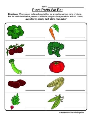 Kindergarten Health And Nutrition Worksheets - Have Fun Teaching