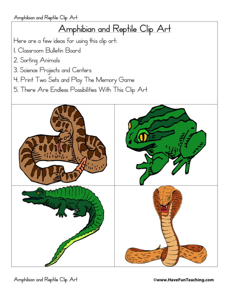 Amphibians and Reptiles Clip Art - Have Fun Teaching