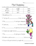 Plant Vocabulary Worksheet - Have Fun Teaching