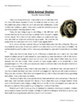 Wild Animal Shelter Reading Comprehension Worksheet - Have Fun Teaching