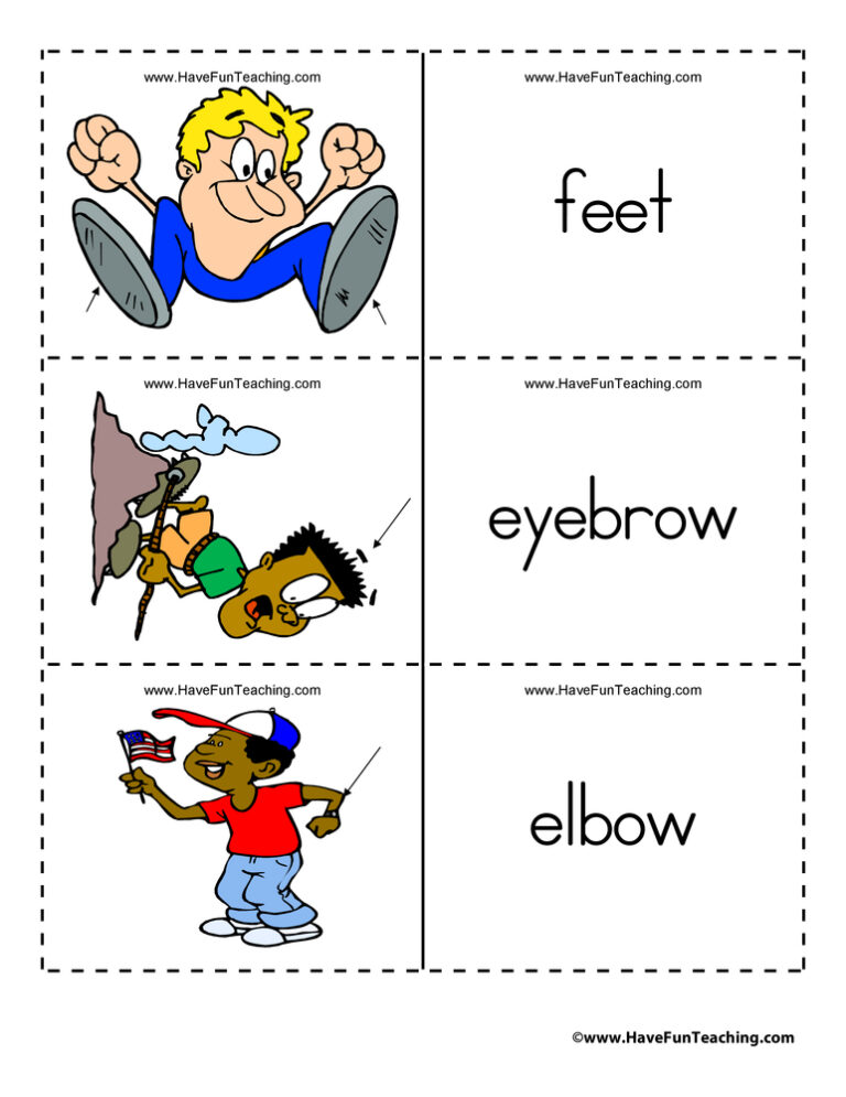 Body Parts Flash Cards - Have Fun Teaching