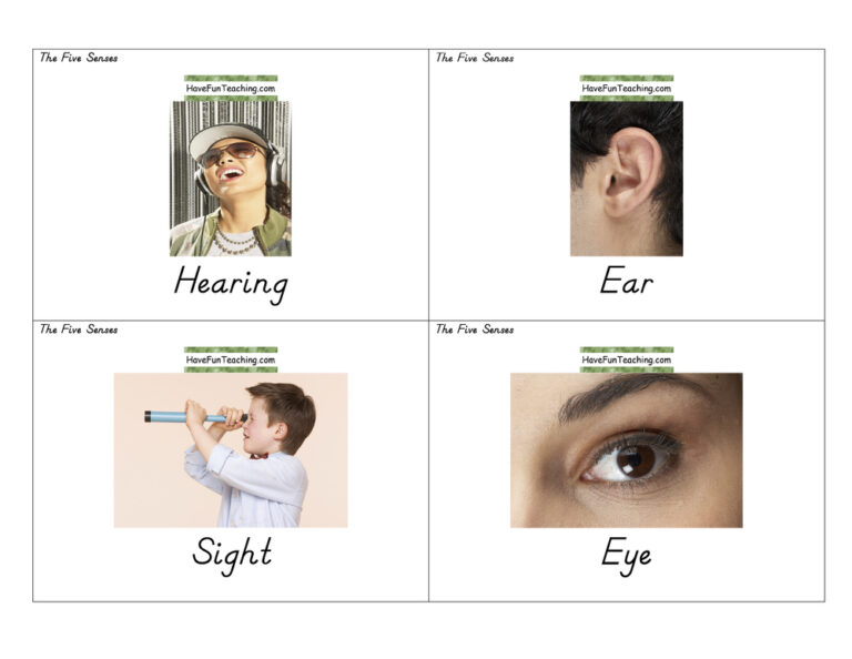 Five Senses Flash Cards - Have Fun Teaching