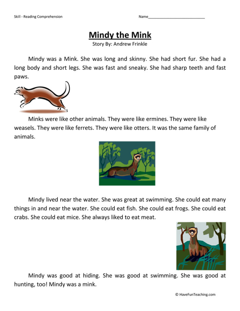 Mindy the Mink Reading Comprehension Worksheet - Have Fun Teaching