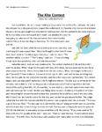 The Kite Contest Reading Comprehension Worksheet - Have Fun Teaching