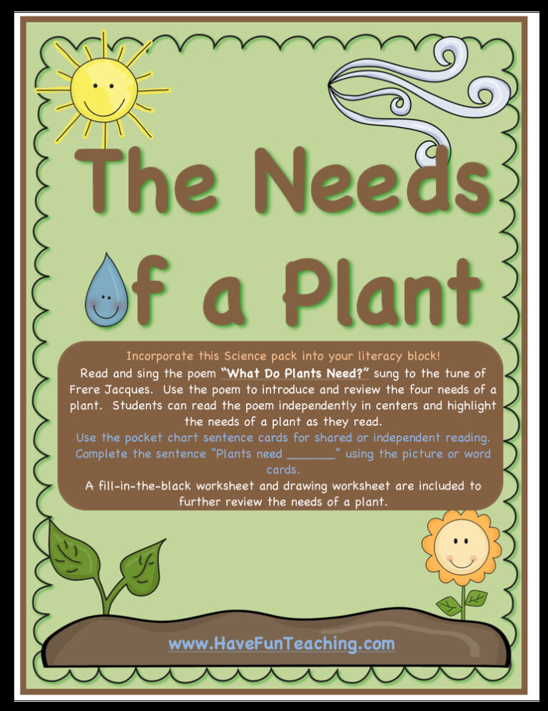 What Does a Plant Need Activity - Have Fun Teaching