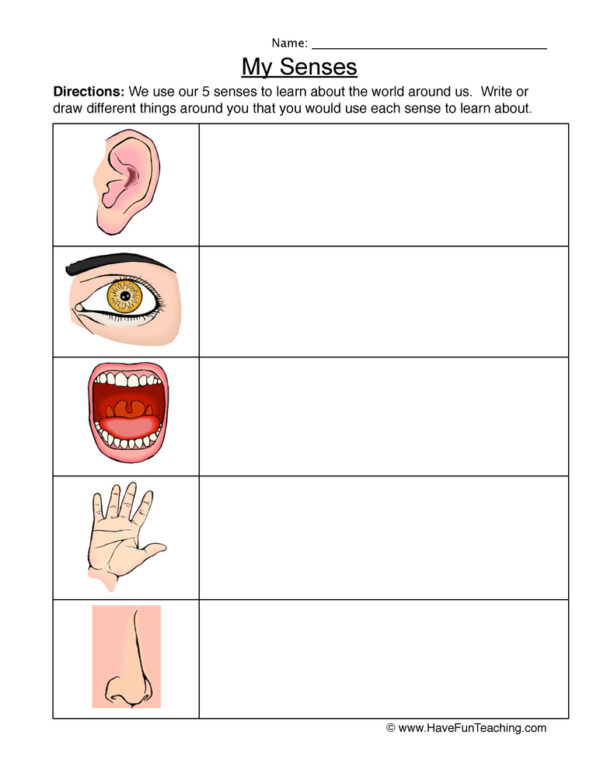 Senses Writing Worksheet - Have Fun Teaching