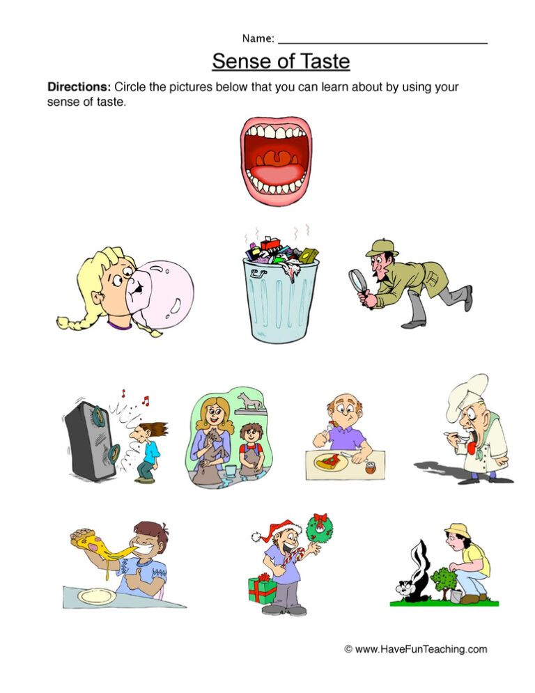 Senses Taste Worksheet - Have Fun Teaching