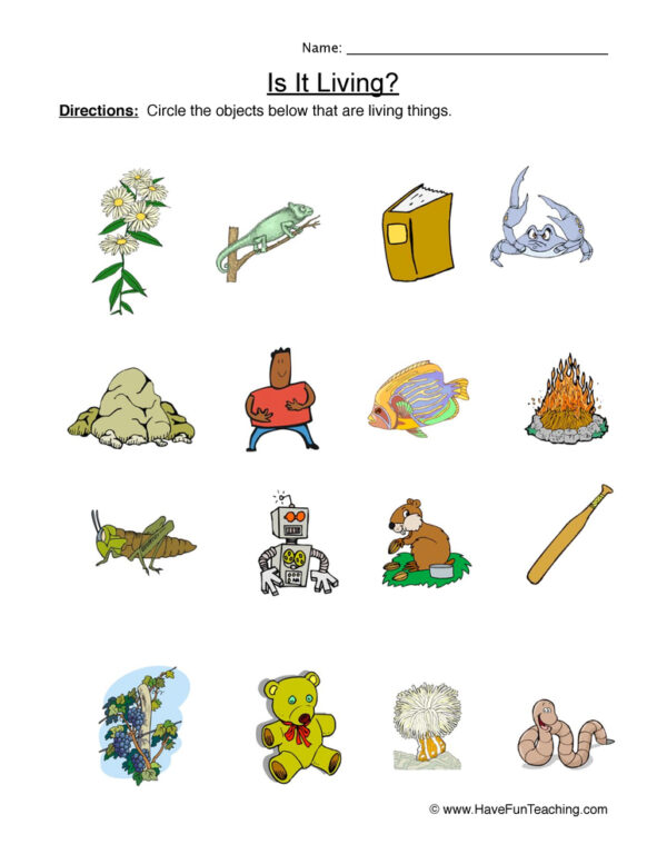 Circle Living Things Worksheet - Have Fun Teaching