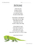 My Pet Lizard Reading Comprehension Worksheet - Have Fun Teaching
