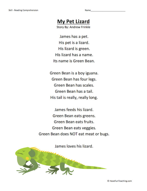 My Pet Lizard Reading Comprehension Worksheet - Have Fun Teaching