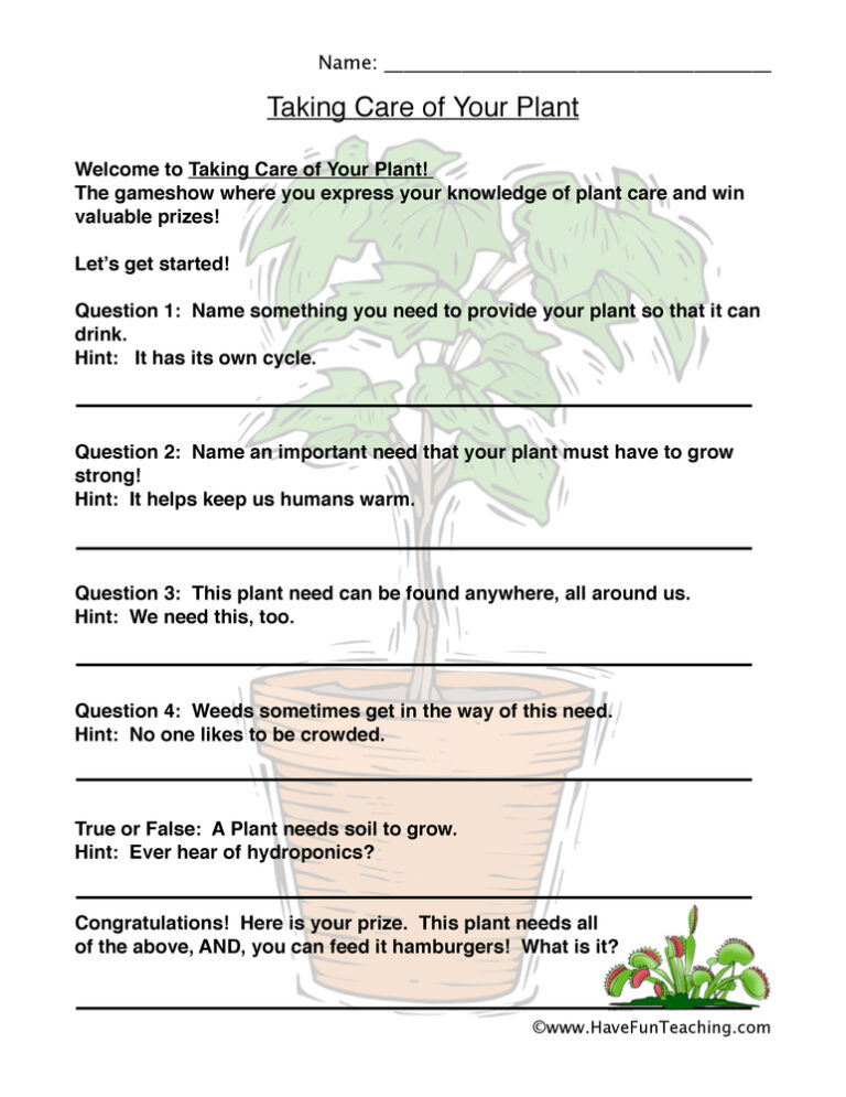 Plant Needs Worksheet - Have Fun Teaching