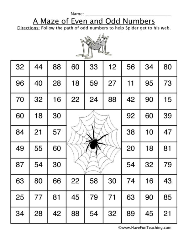 Odd Number Spider Maze Worksheet - Have Fun Teaching