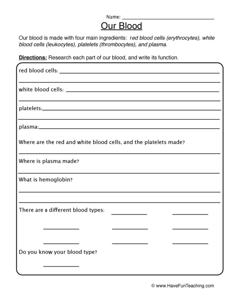 Blood Worksheet - Have Fun Teaching