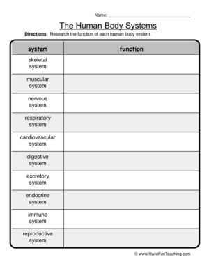 Human Body Systems Worksheet - Have Fun Teaching