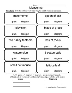 Gram Kilogram Worksheet - Have Fun Teaching