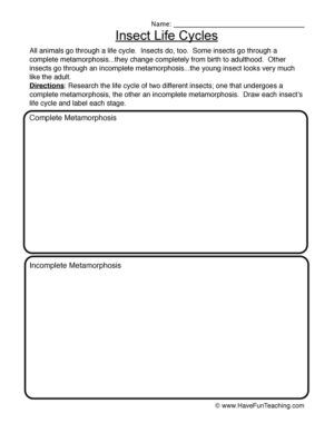 Labeling Life Cycles Worksheet - Have Fun Teaching