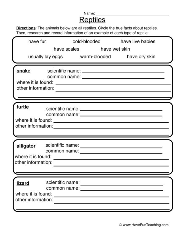Reptiles Worksheet - Have Fun Teaching