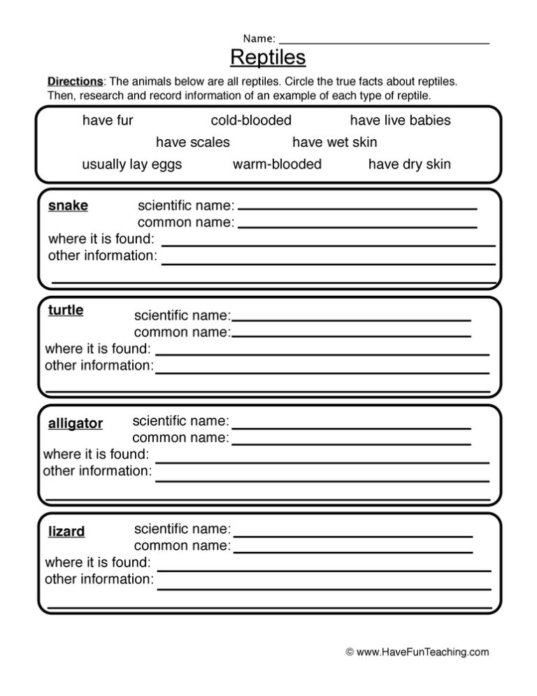 Reptiles Worksheet - Have Fun Teaching