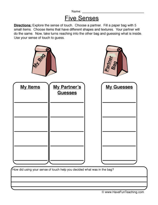 What is in the Bag? Five Senses Worksheet - Have Fun Teaching