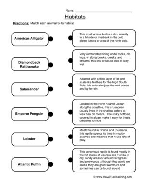 Matching Habitats Worksheet - Have Fun Teaching