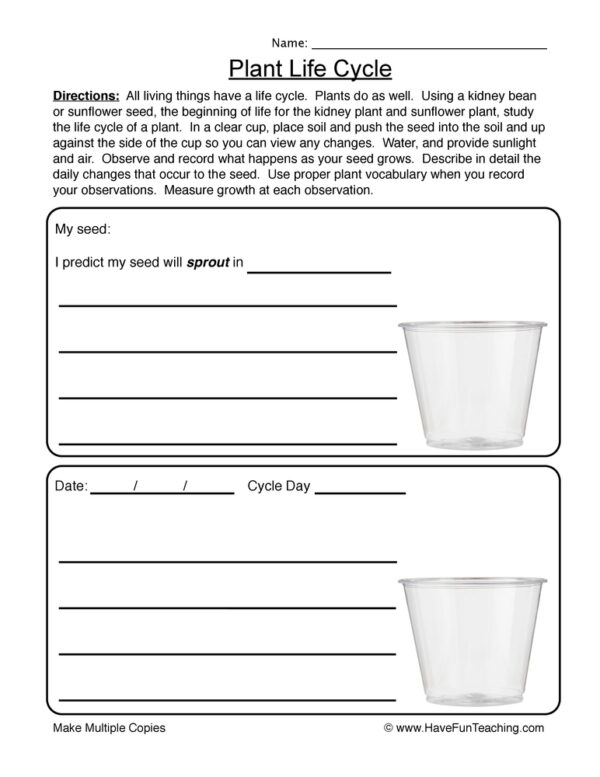 Life Cycle Of Plants Observation Worksheet Have Fun Teaching life-cycle-of-plants-observation-worksheet-have-fun-teaching