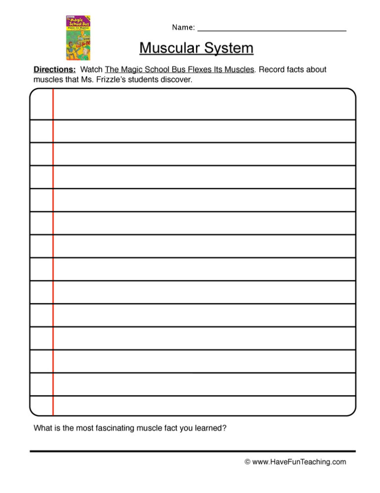 Muscular System Writing Worksheet - Have Fun Teaching