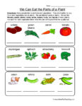 Edible Parts of a Plant Worksheet - Have Fun Teaching