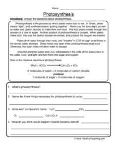 Photosynthesis Reading Worksheet - Have Fun Teaching