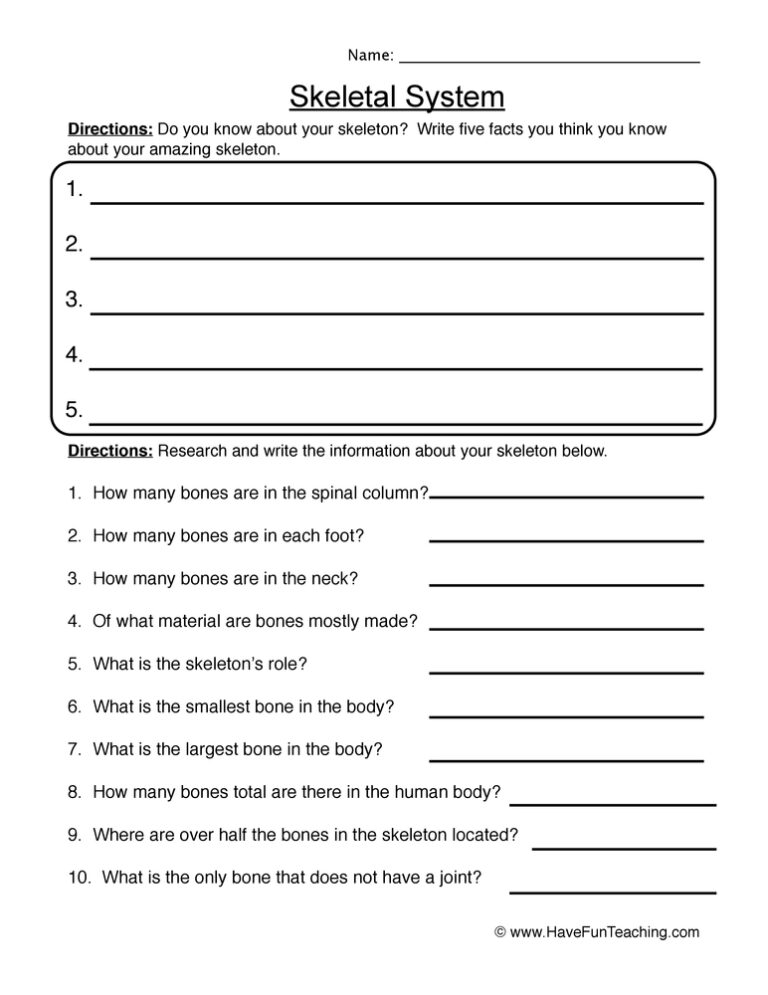 Skeletal System Research Worksheet Have Fun Teaching Skeletal System Research Worksheet Have Fun Teaching