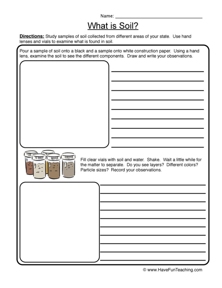 What is Soil? Worksheet - Have Fun Teaching