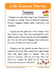 Funguses Life Science Reading Comprehension Worksheet - Have Fun Teaching