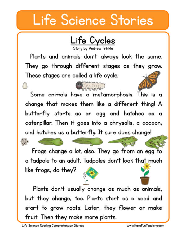 Life Cycles Life Science Reading Comprehension Worksheet - Have Fun ...