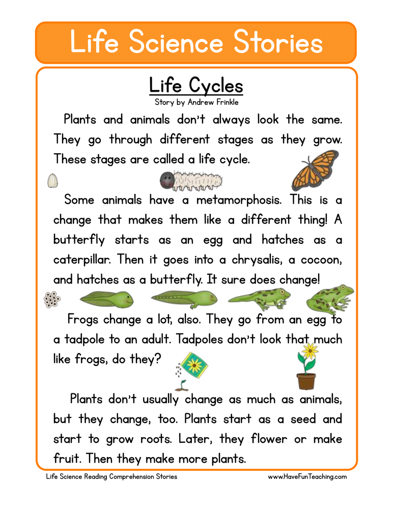 Life Cycles Life Science Reading Comprehension Worksheet Have Fun