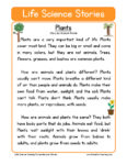 Plants Life Science Reading Comprehension Worksheet - Have Fun Teaching