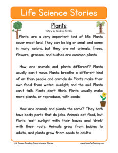 Plants Life Science Reading Comprehension Worksheet - Have Fun Teaching
