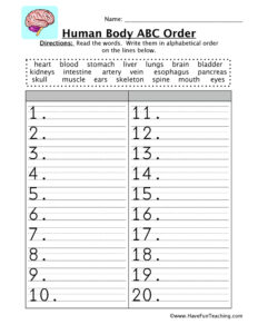 Human Body Alphabetical Order Worksheet - Have Fun Teaching