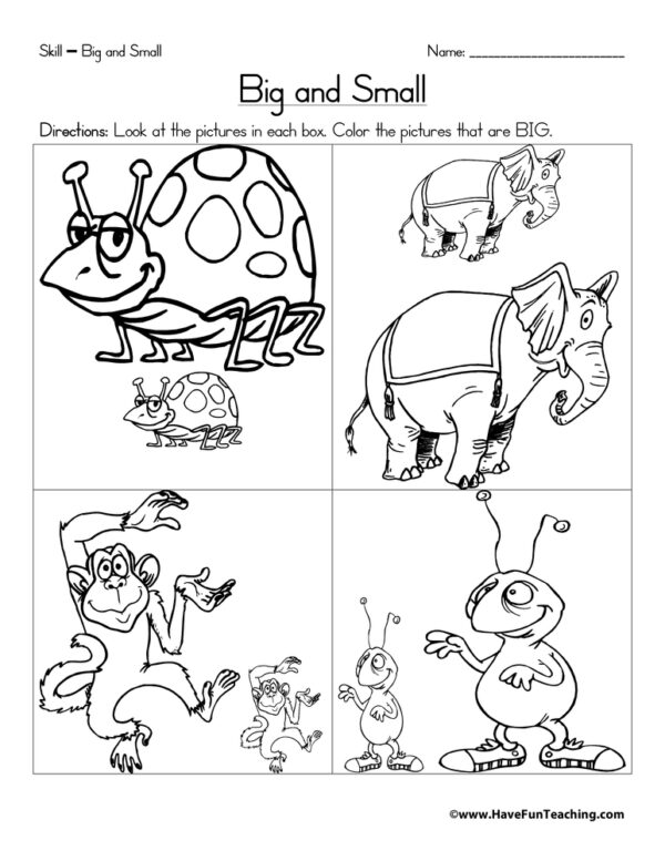 Size Worksheet - Have Fun Teaching