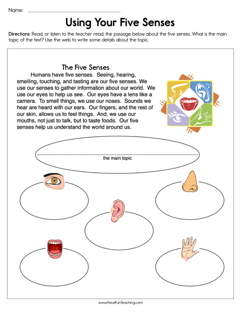 Using Your Five Senses Worksheet - Have Fun Teaching
