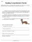Ferrets Reading Comprehension Worksheet - Have Fun Teaching