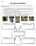 Key Ideas Butterflies Worksheet - Have Fun Teaching