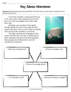 Key Ideas Manatees Worksheet - Have Fun Teaching