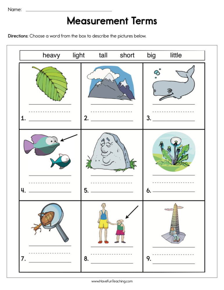 Measurement Terms Worksheet - Have Fun Teaching
