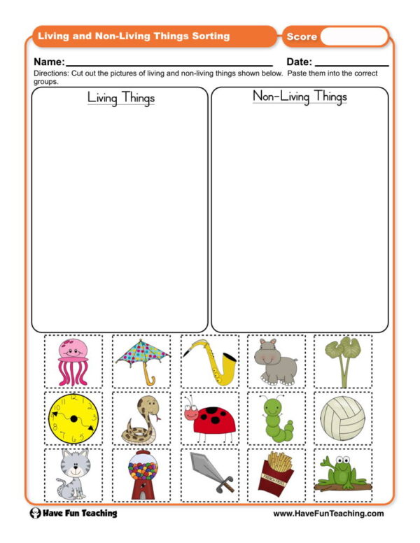 Living and Non-Living Things Worksheets - Have Fun Teaching