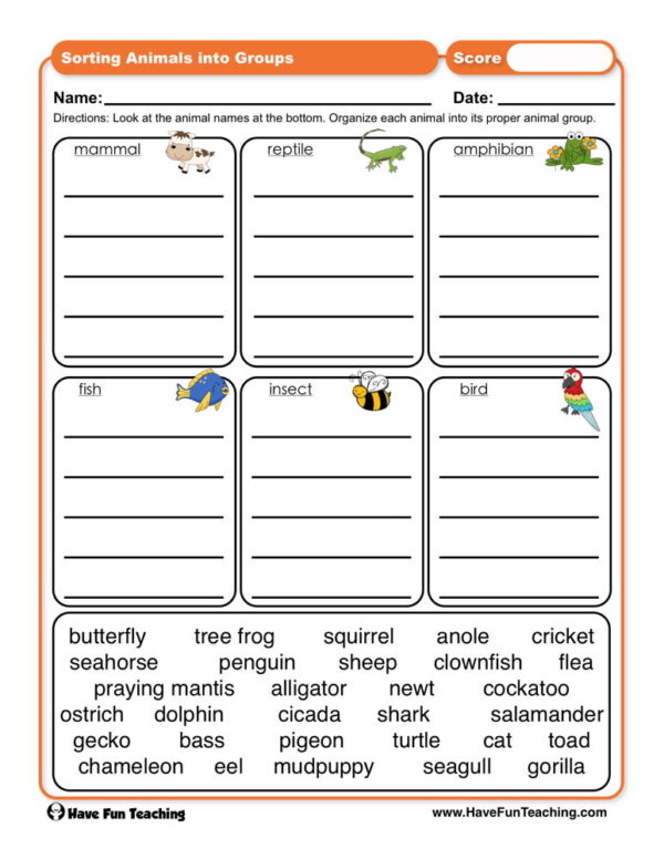 Classification Worksheets - Have Fun Teaching