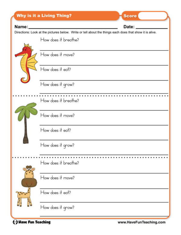 Living and Non-Living Things Worksheets - Have Fun Teaching