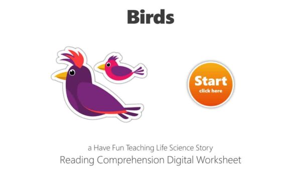 Birds Reading Comprehension Digital Worksheet - Have Fun Teaching