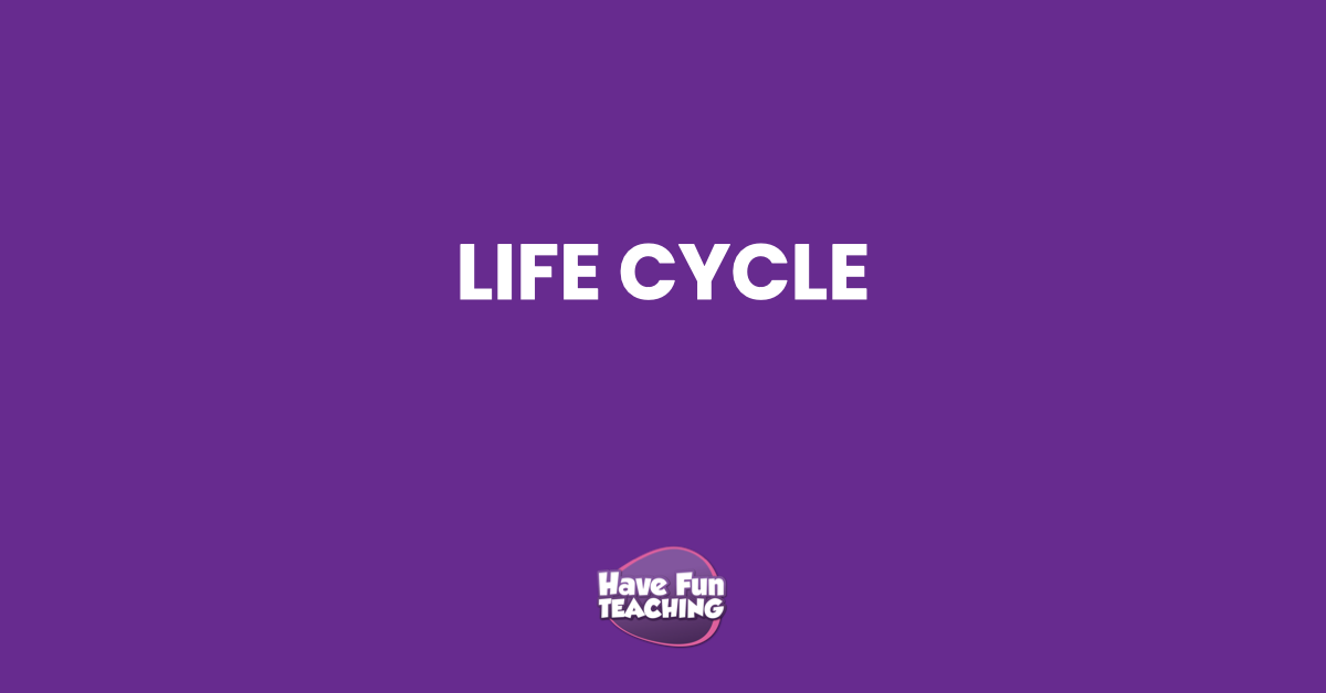 Life Cycle - Have Fun Teaching